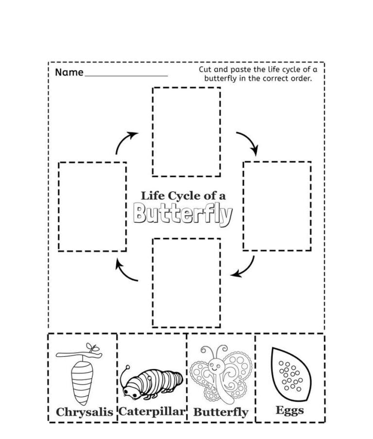 Life Cycle of a Butterfly Cut and Paste Worksheets - Printable ...