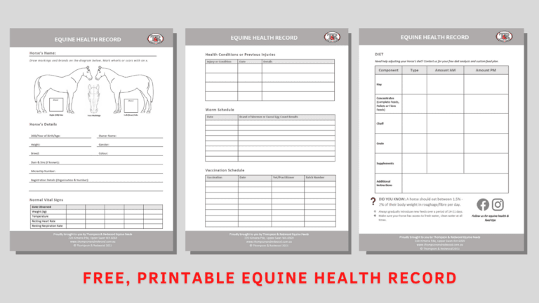 Equine Health Record Printable - Printable Templates Hub