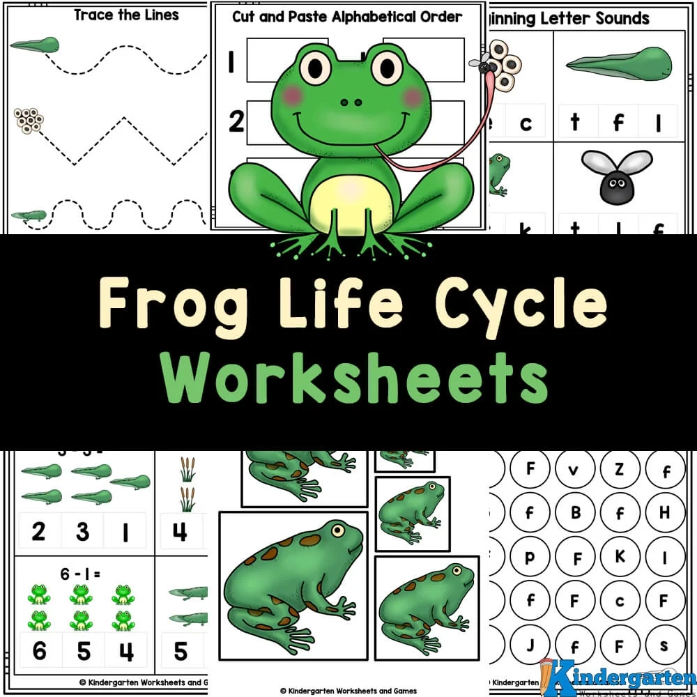 Life Cycle Of A Frog Worksheet Printable - Printable Templates Hub